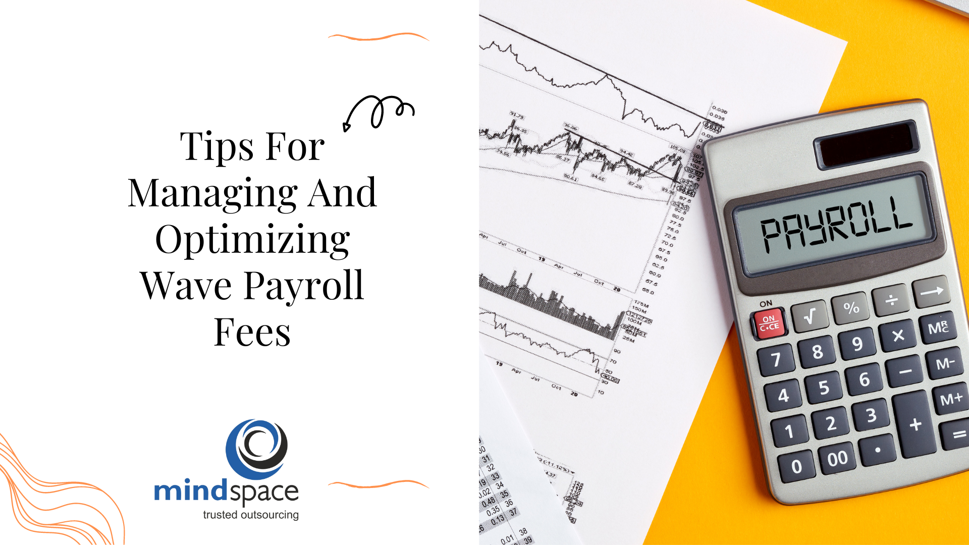Mastering Wave Payroll Fees: Essential Tips for Businesses